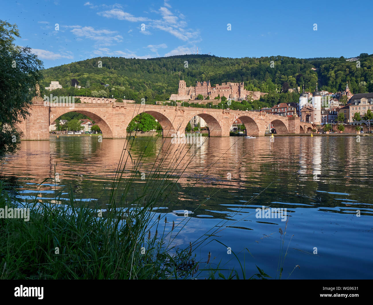 Neckar river heidelberg castle hi-res stock photography and images - Alamy