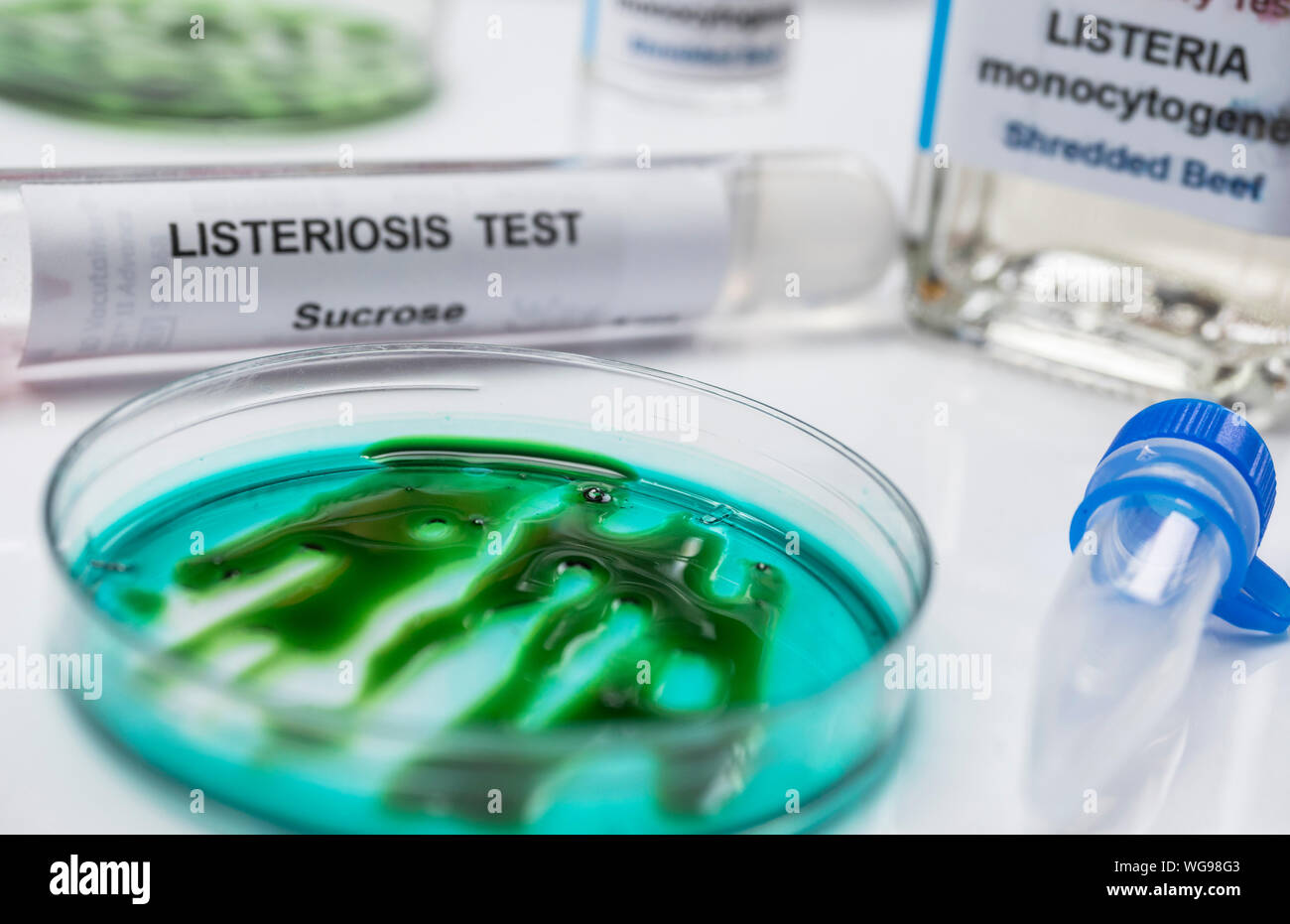 Listeria monocytogenes hi-res stock photography and images - Alamy