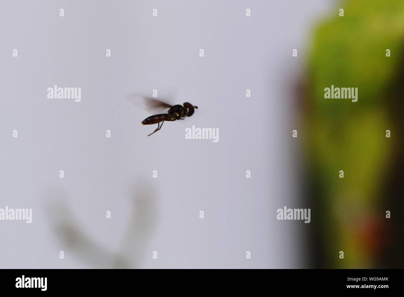 Air bee hi-res stock photography and images - Alamy