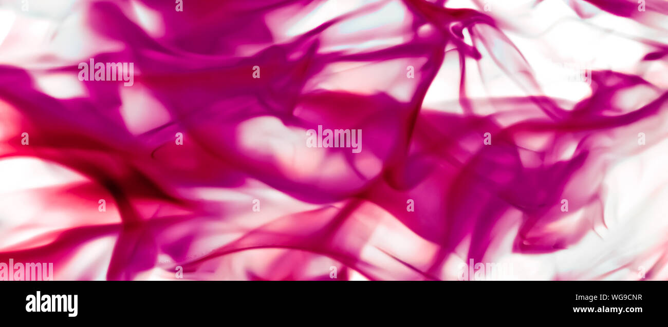 Technology, science and artistic flow concept - Abstract wave ...