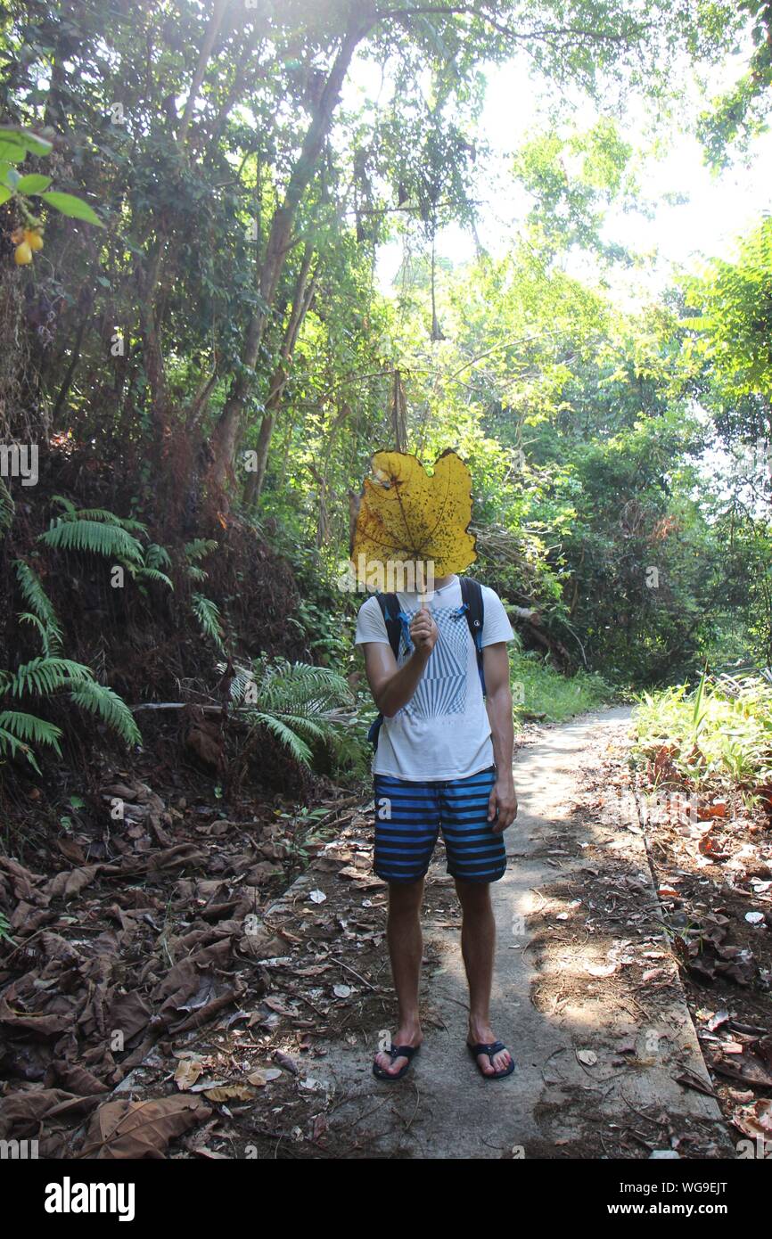 Man Hiding In Tree High Resolution Stock Photography and Images - Alamy