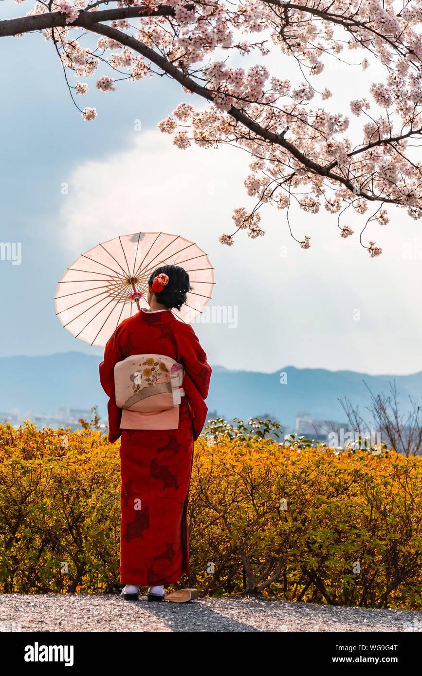 Japanese woman in traditional clothes, kimono and japanese sunshade ...