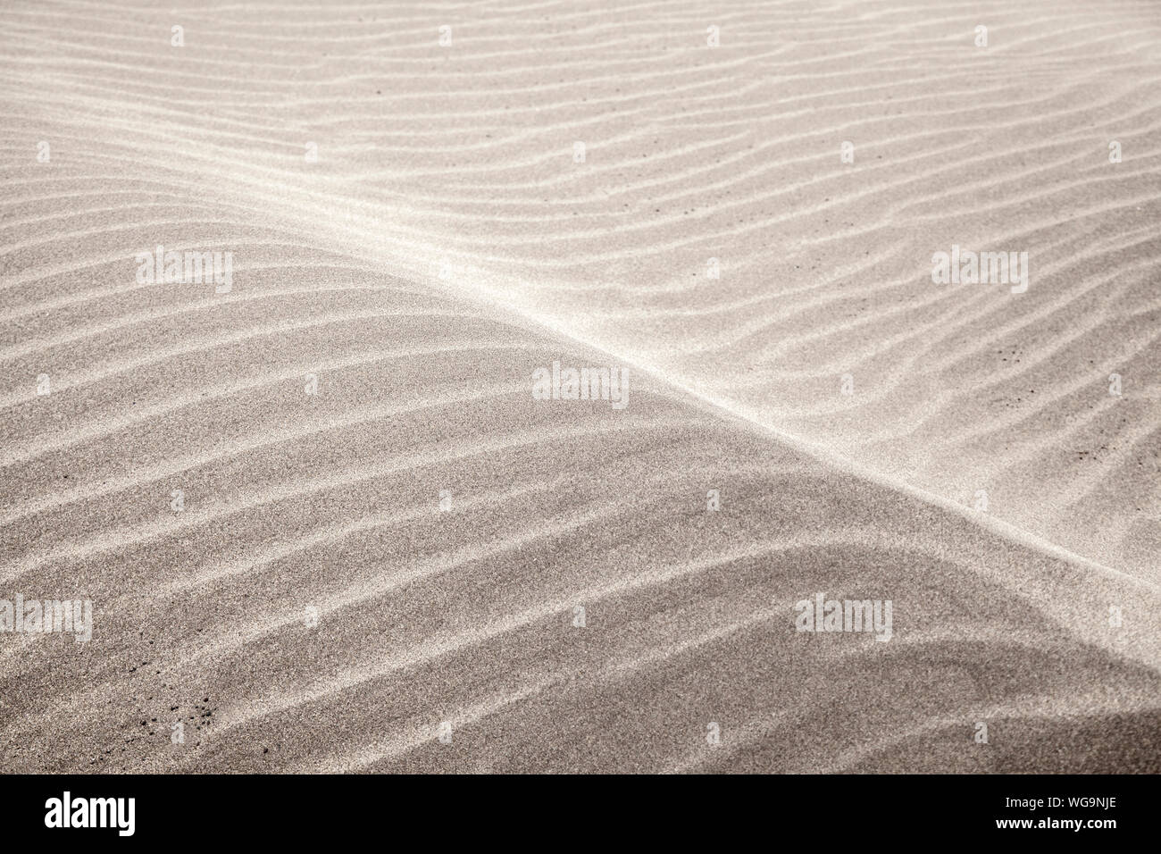 Lanzarote warm climate hi-res stock photography and images - Alamy