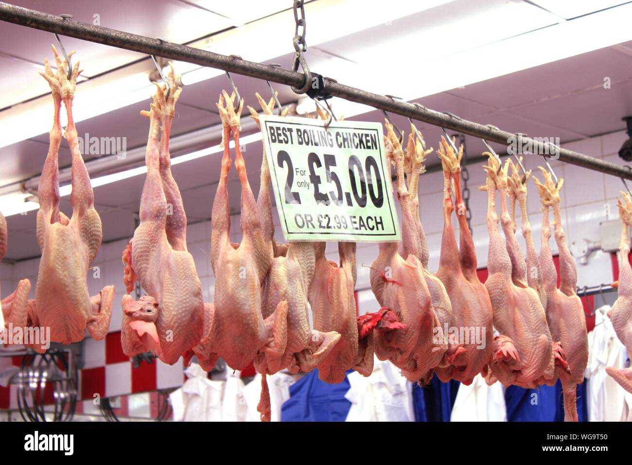 Dead chickens hanging hi-res stock photography and images - Alamy