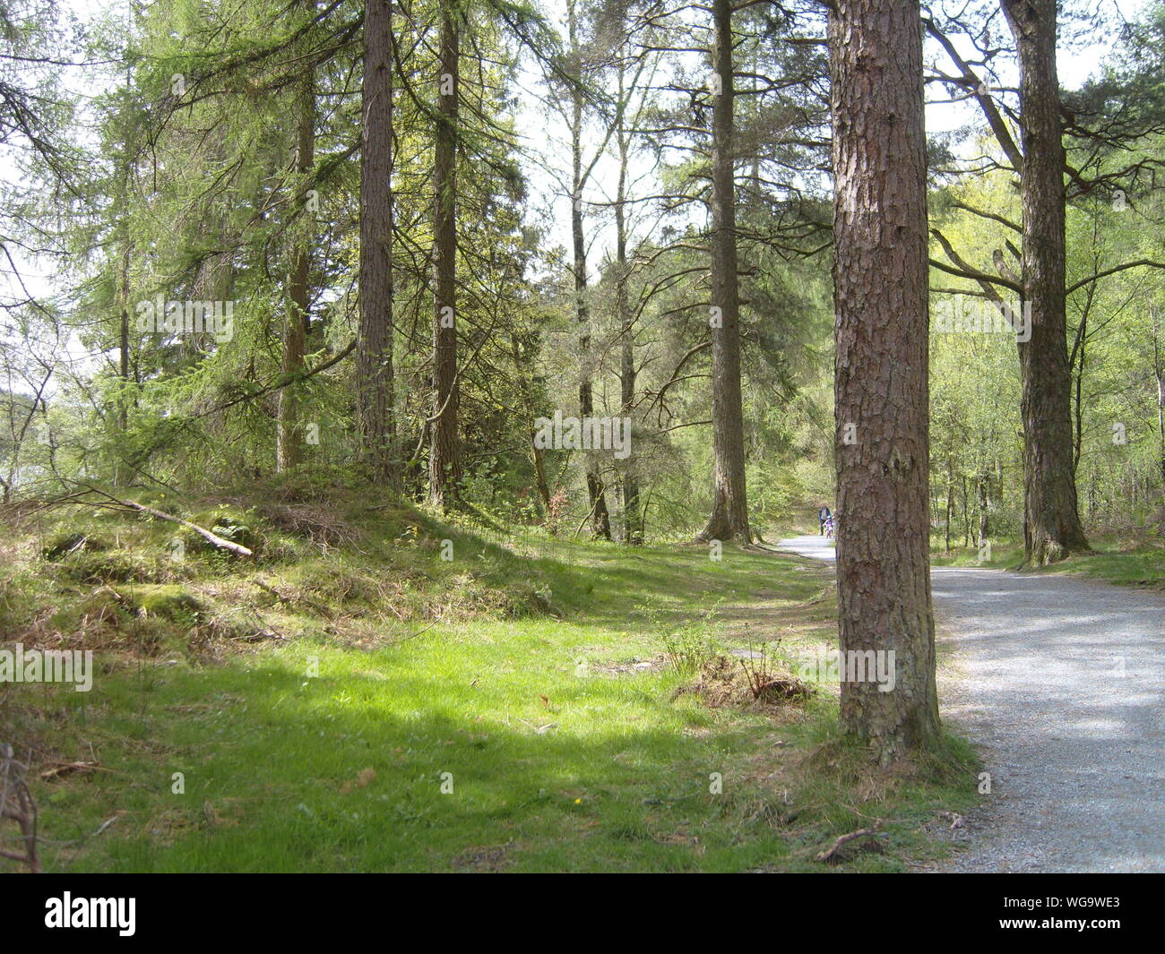 Lake District National Park England UK Stock Photo - Alamy