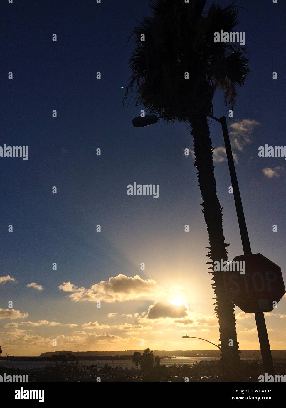 Palm stop sign hi-res stock photography and images - Alamy