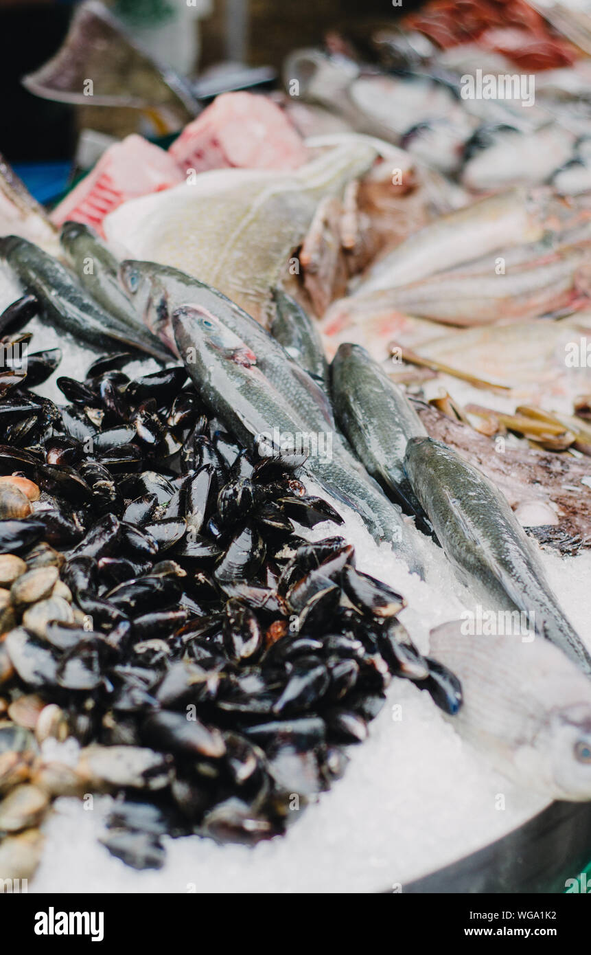 Mussels retail hi-res stock photography and images - Alamy