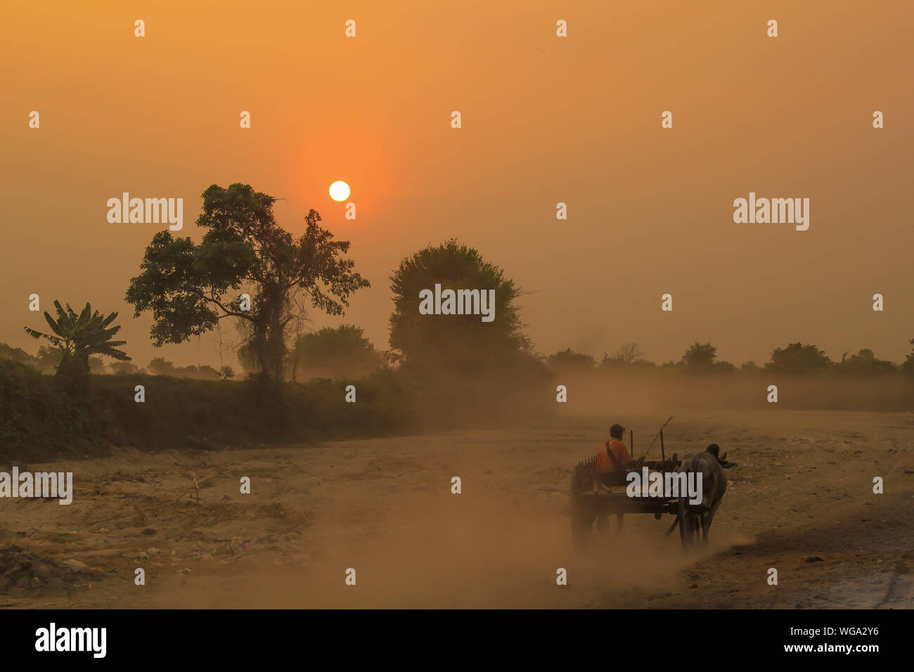 Man with ox cart hi-res stock photography and images - Alamy