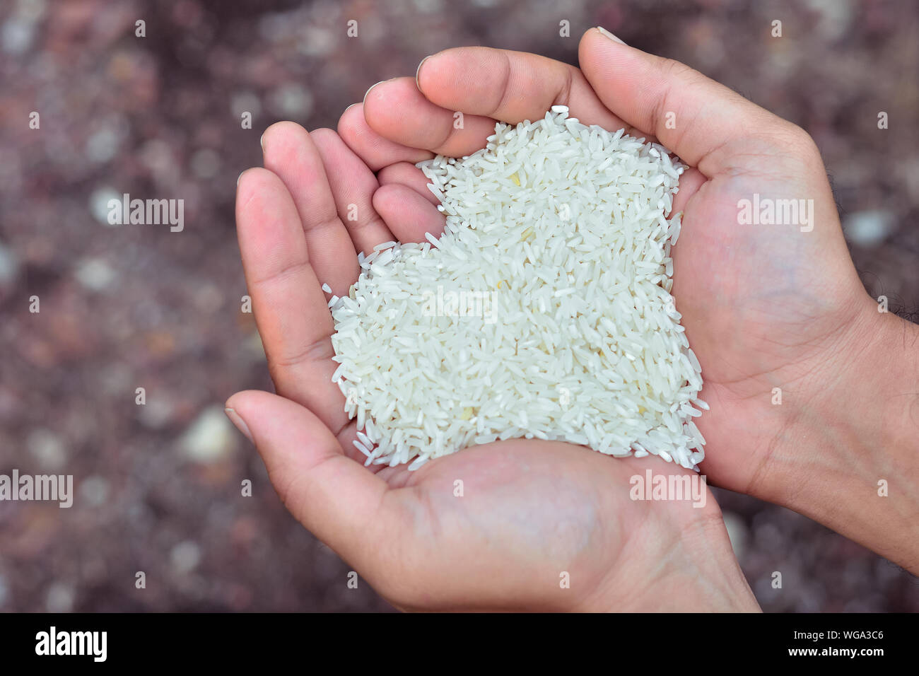 Hands holding rice hi-res stock photography and images - Alamy