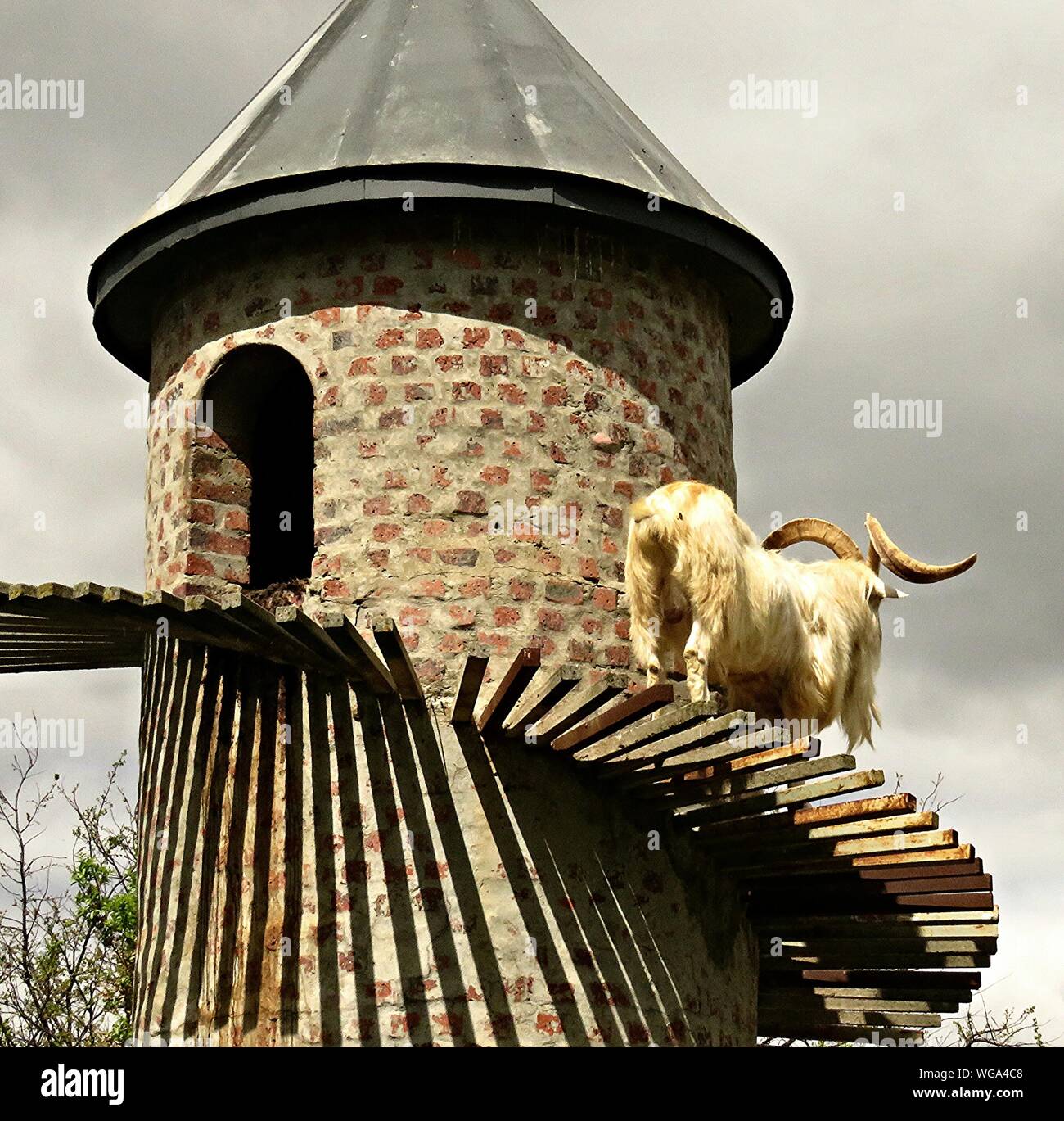 Goat Tower High Resolution Stock Photography and Images - Alamy