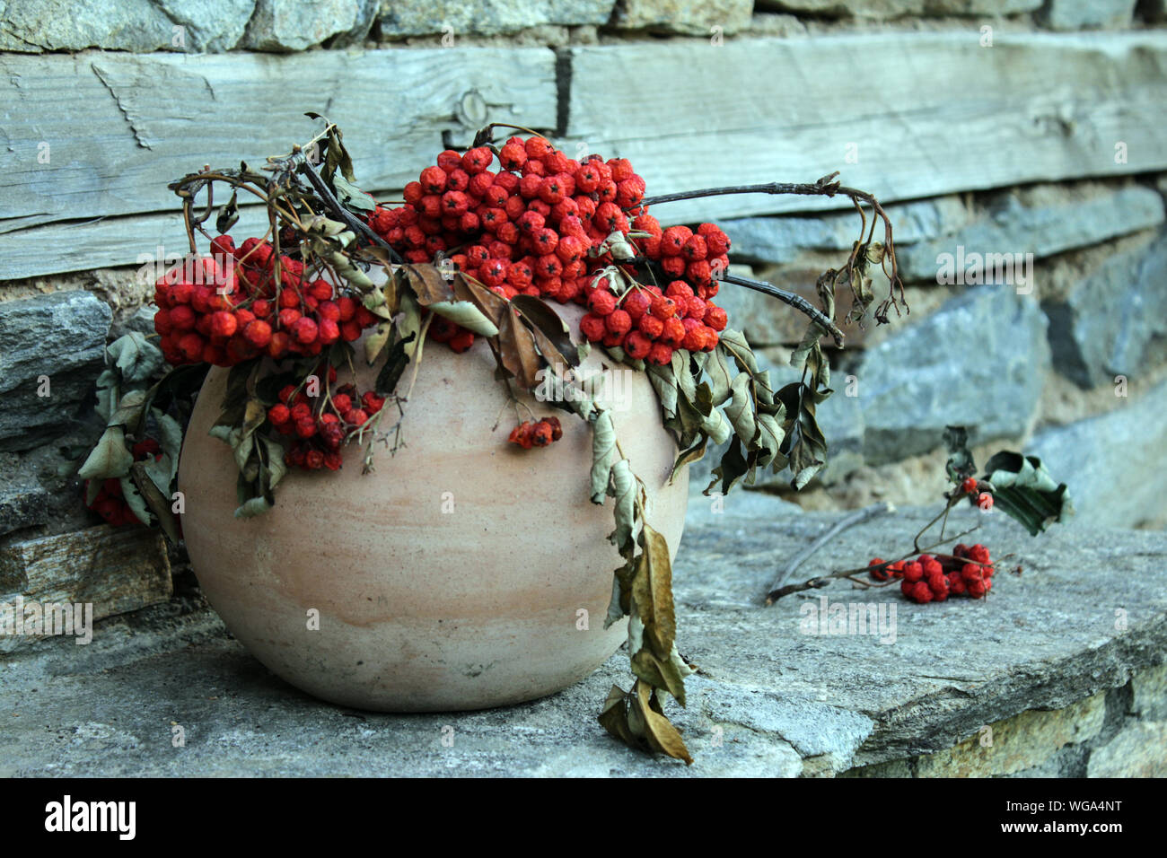 Drying fruits hi-res stock photography and images - Alamy
