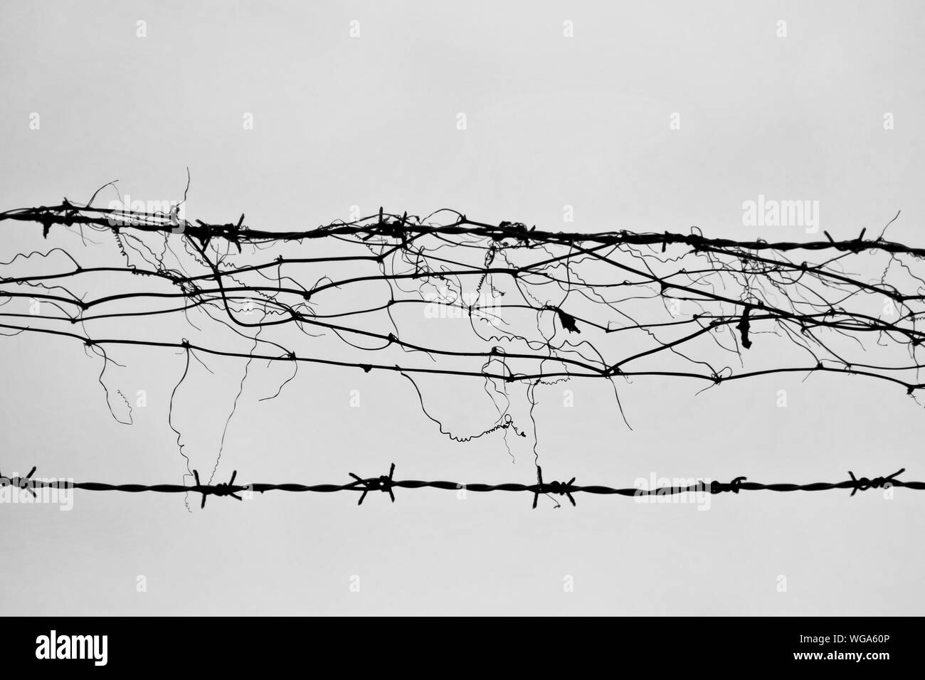 Covered with creepers hi-res stock photography and images - Alamy