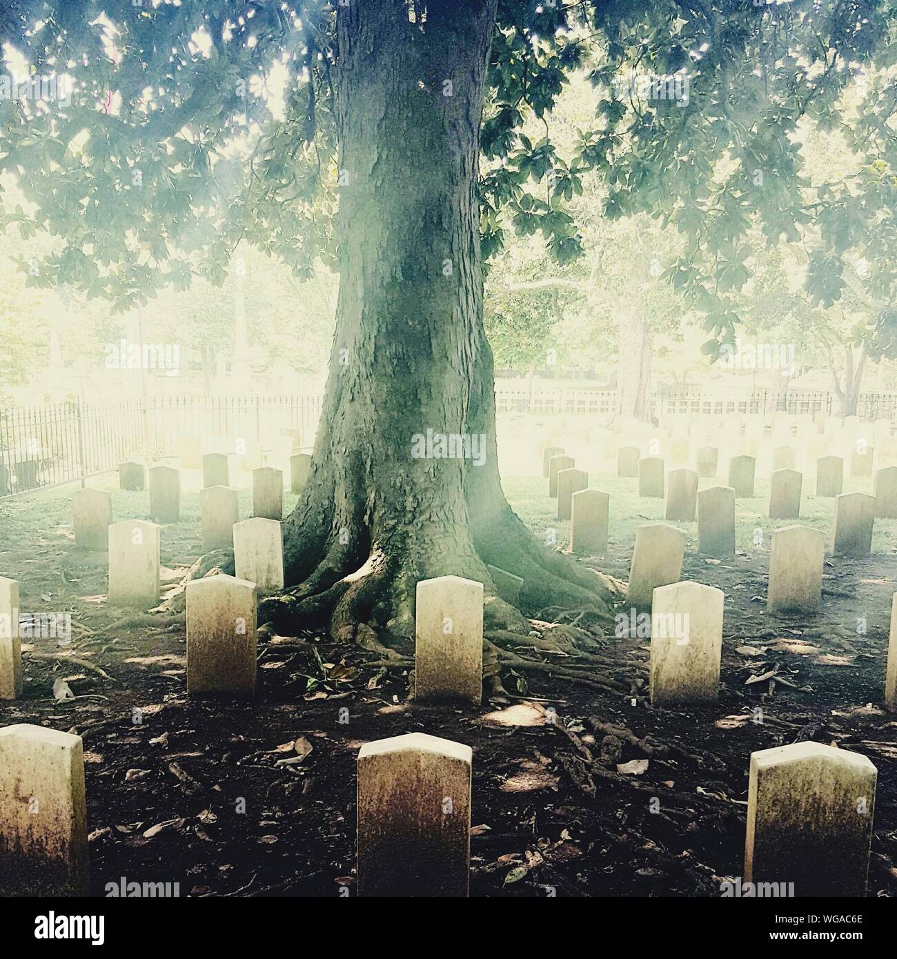 Graveyard hi-res stock photography and images - Alamy