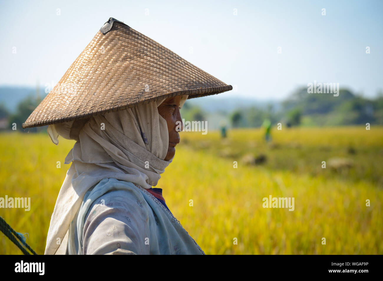 Asian man in conical hat hi-res stock photography and images - Alamy
