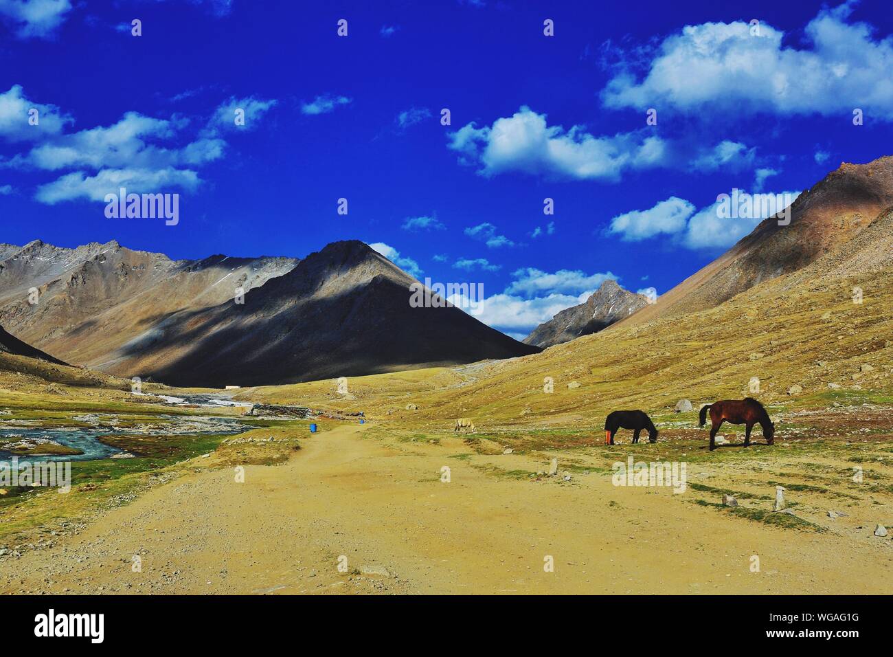 Mount kailash hi-res stock photography and images - Alamy
