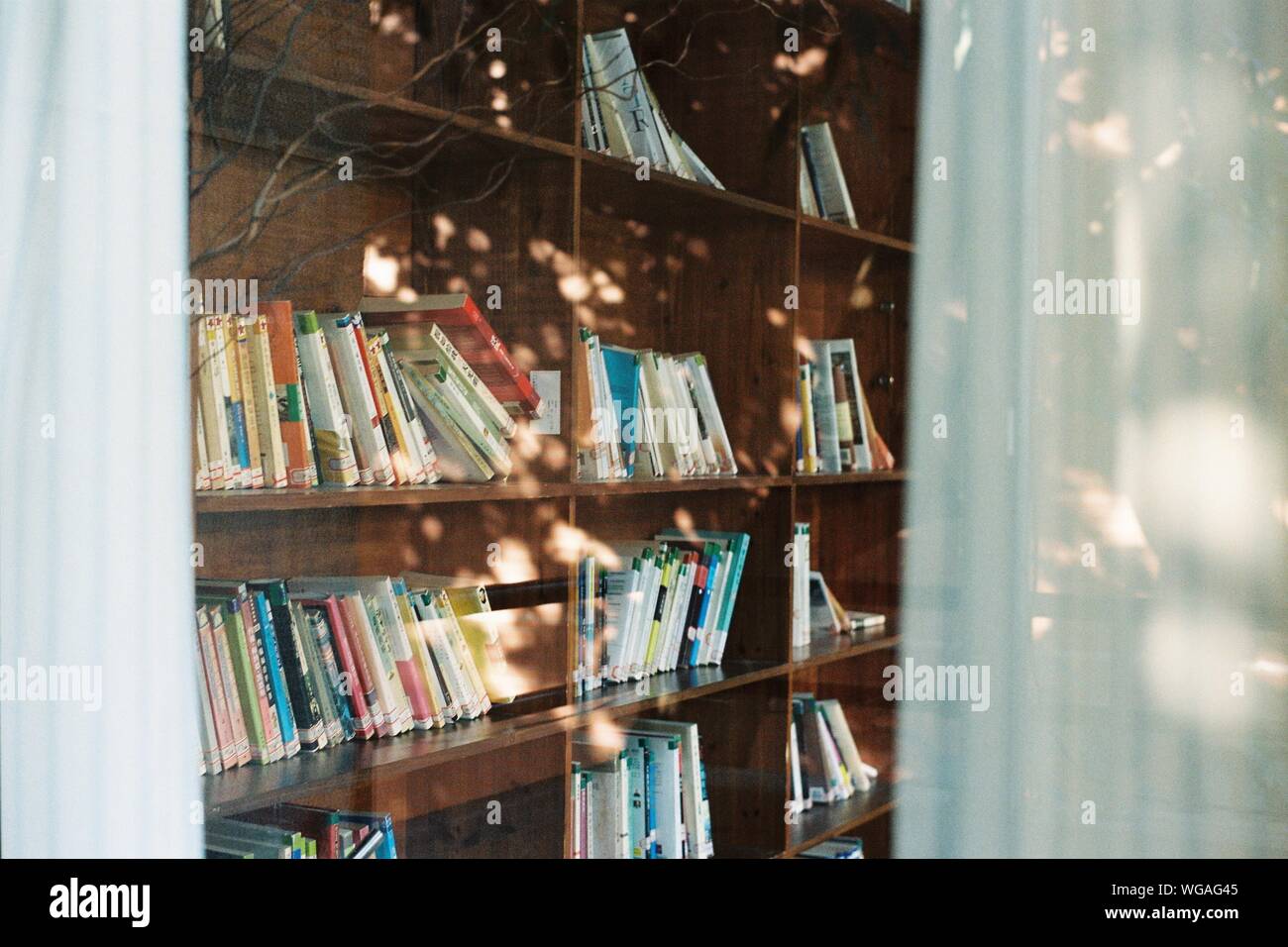 Book collection in home hi-res stock photography and images - Alamy