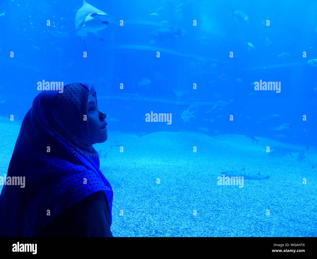 Woman Wearing Hijab Group High Resolution Stock Photography and Images ...