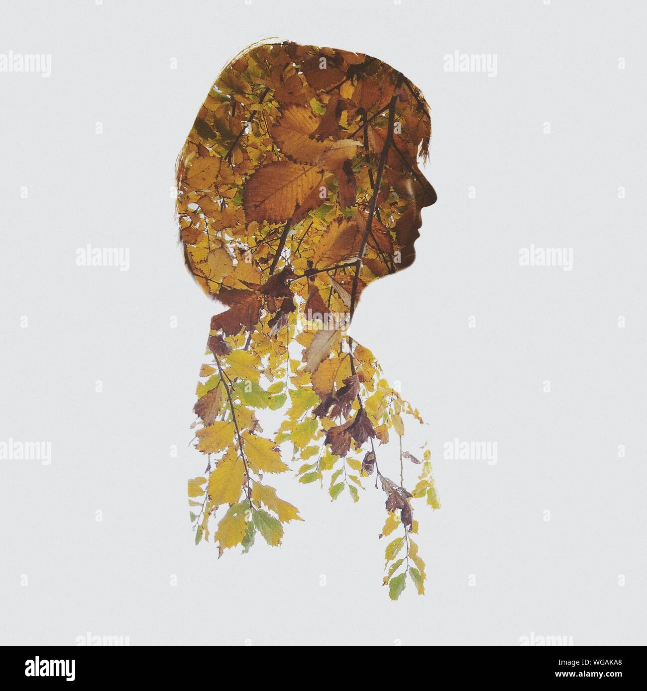 Double exposure woman hi-res stock photography and images - Alamy