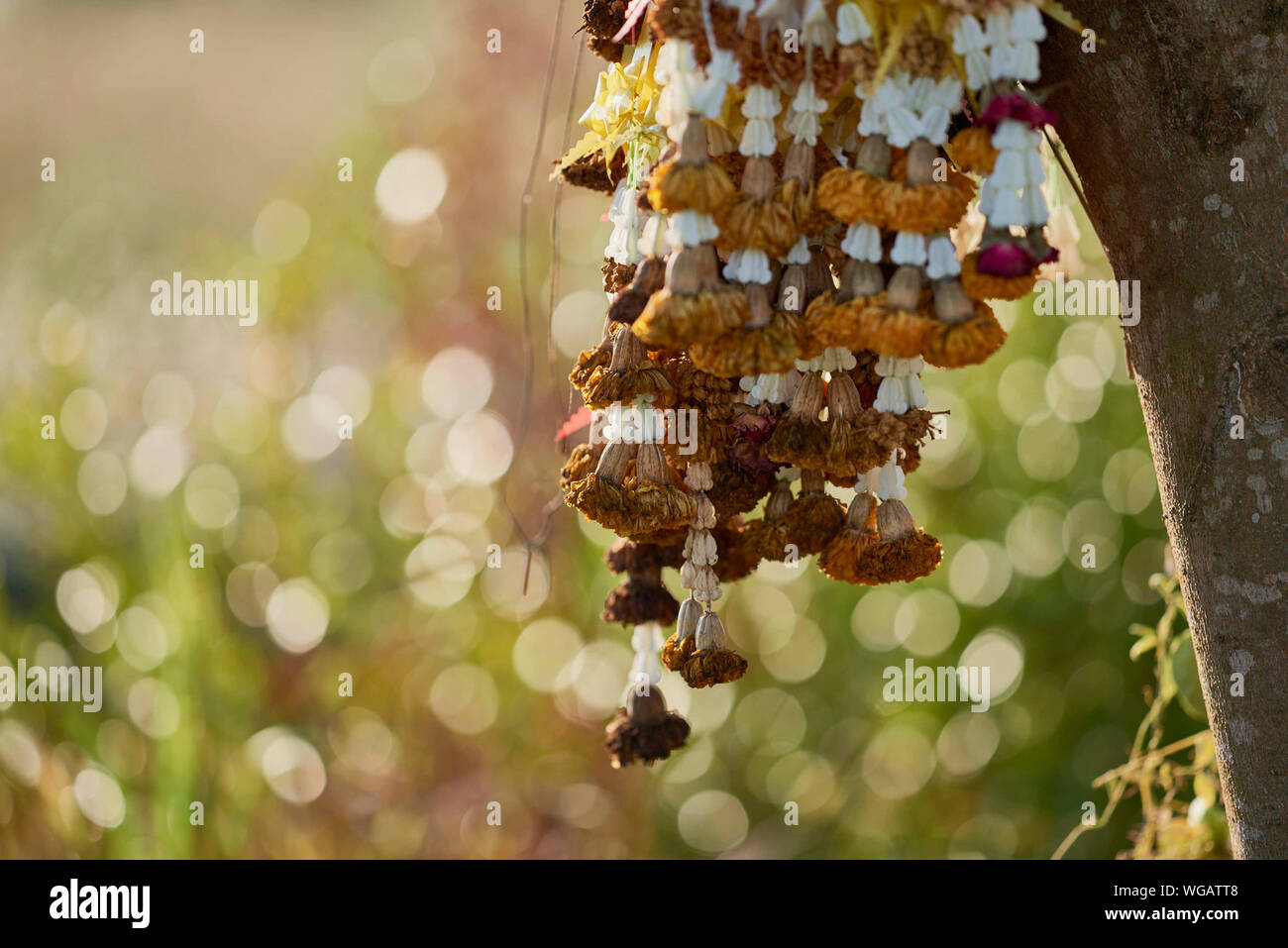 Hanging garland hi-res stock photography and images - Alamy