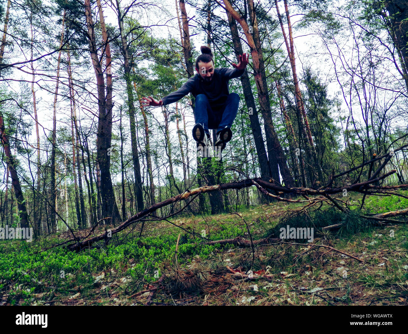 Man jumping from tree hi-res stock photography and images - Alamy