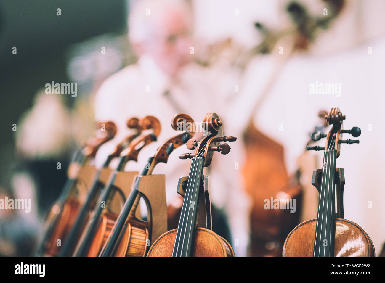 Details with the scroll, peg box, tuning pegs, strings, neck and ...