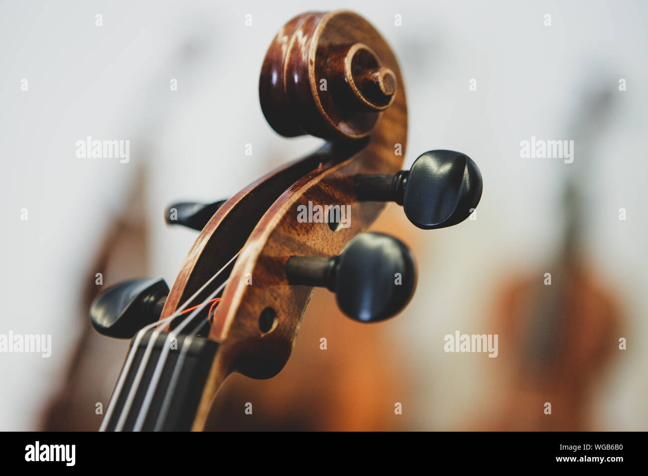 Details with the scroll, peg box, tuning pegs, strings, neck and ...