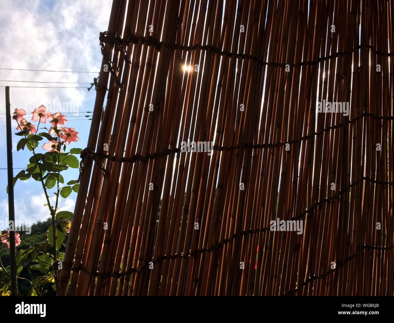 Straw Fence High Resolution Stock Photography and Images - Alamy