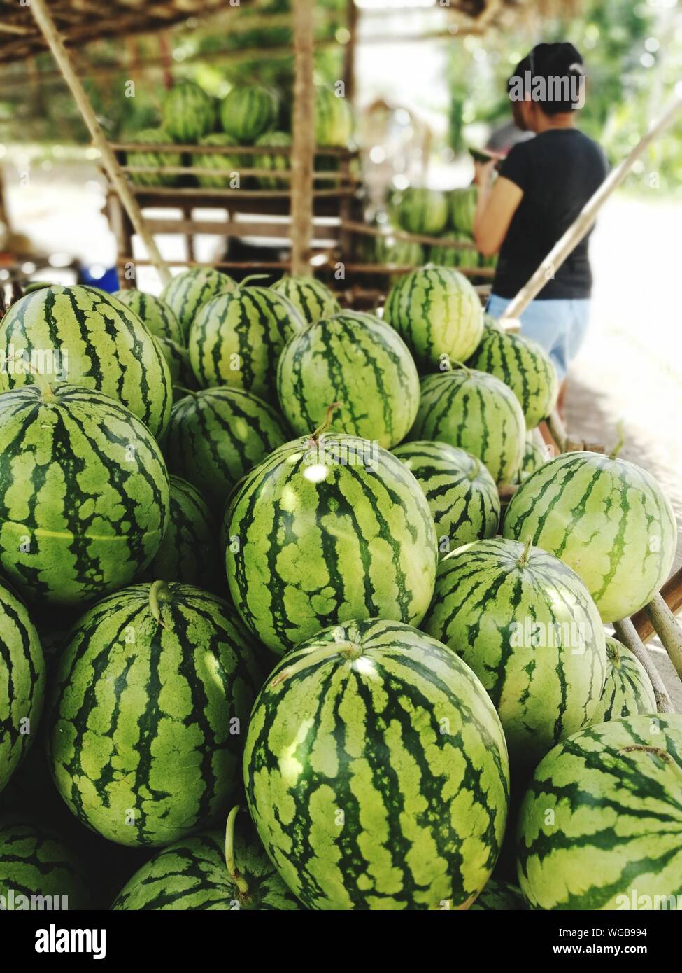 Watermelons on sale hi-res stock photography and images - Alamy