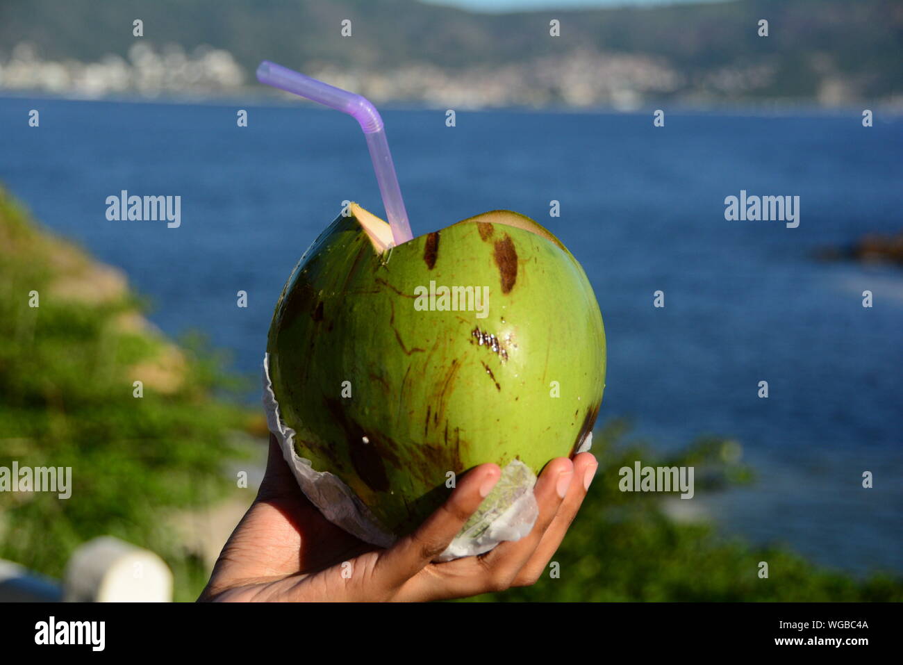 Green coconut straw hi-res stock photography and images - Alamy