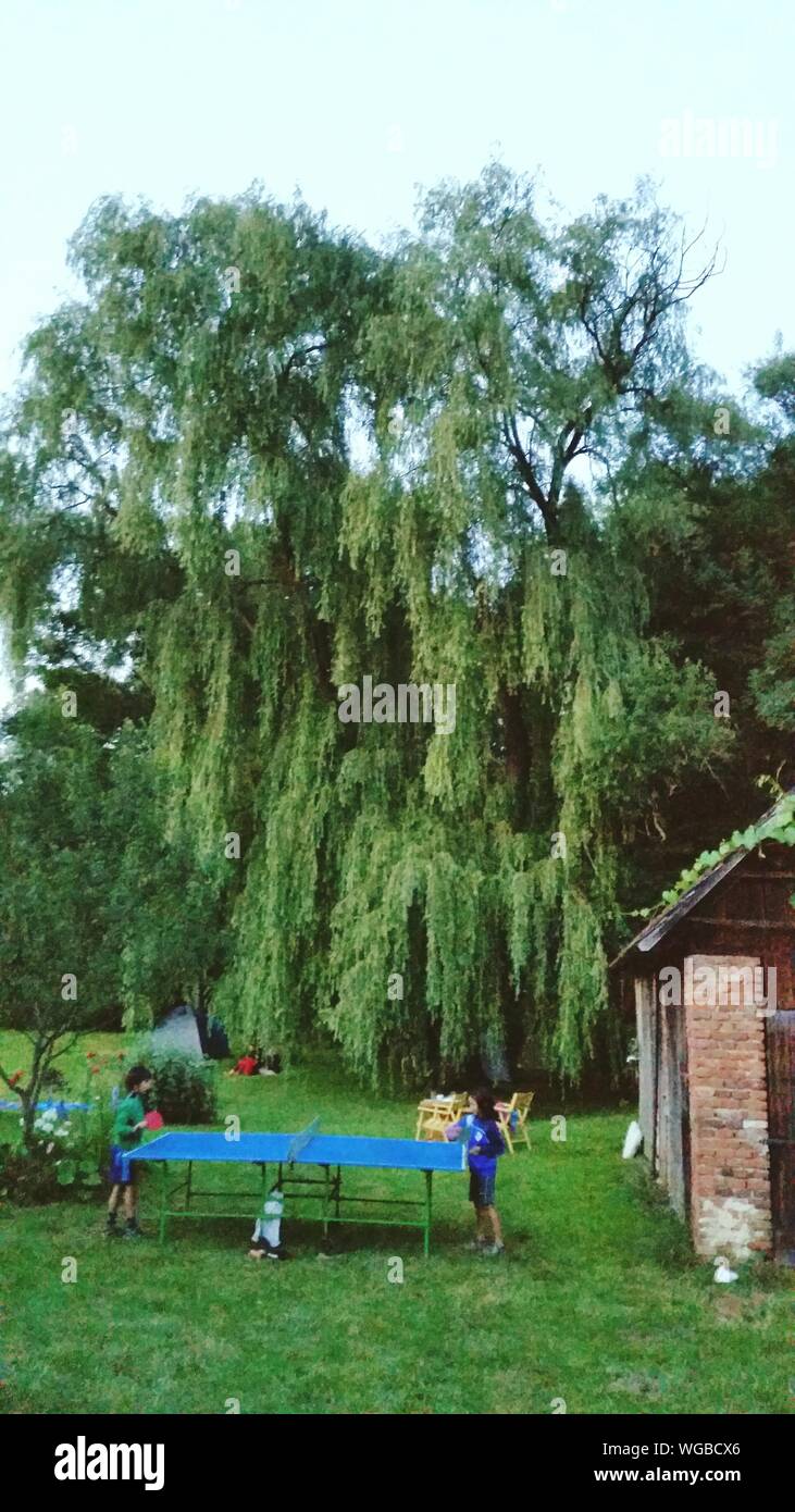 Table tennis table outside hi-res stock photography and images - Alamy