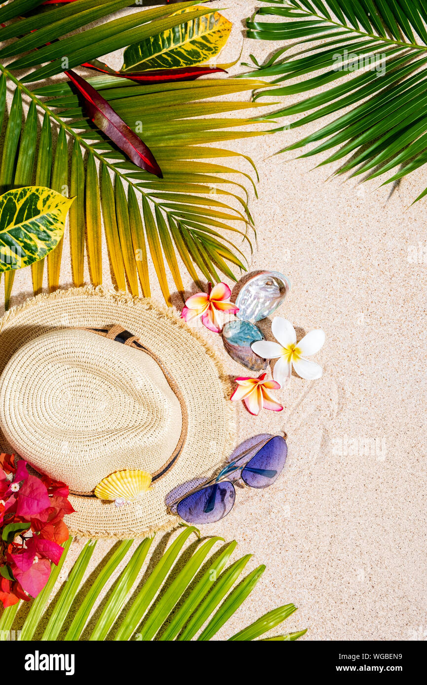 Beige straw hat with blue sunglasses, colourful sea shells, frangipani ...
