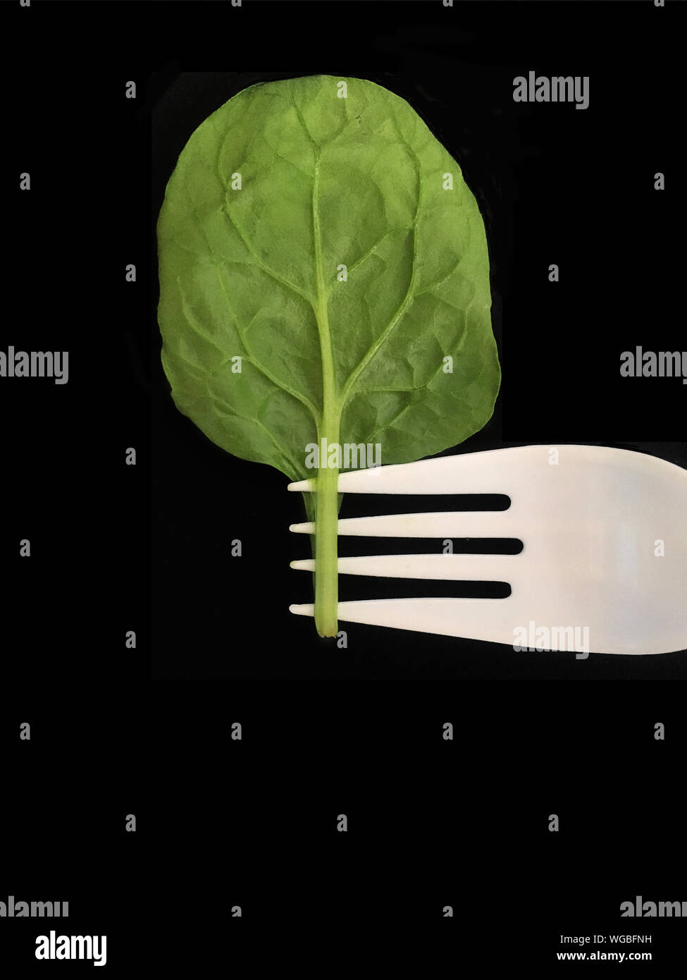 Fork and leaf hi-res stock photography and images - Alamy