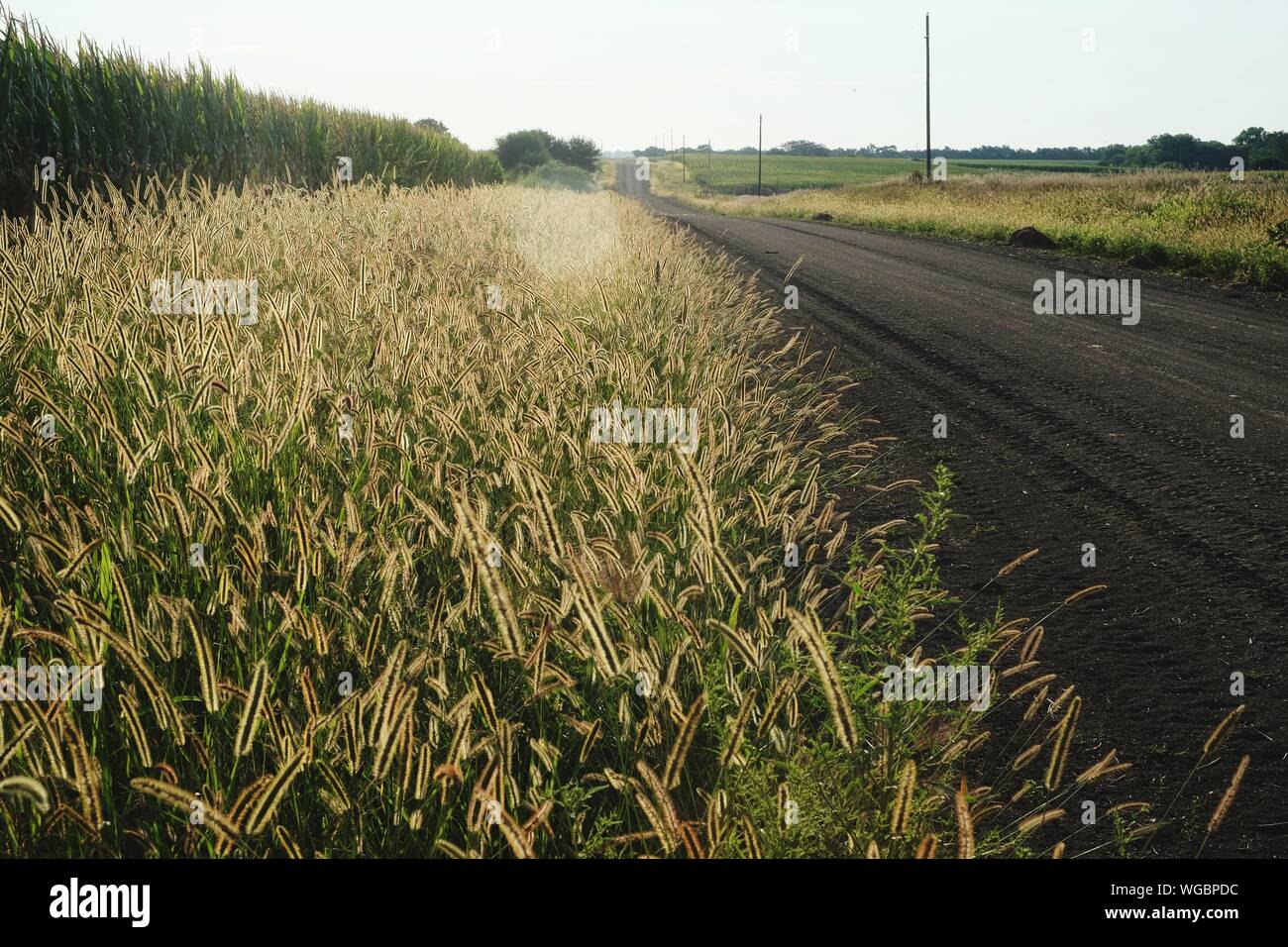 Field pathway hi-res stock photography and images - Alamy