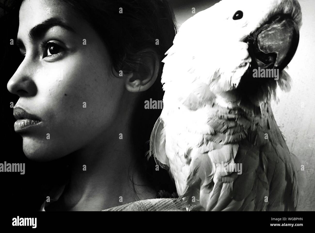 Woman With Parrot High Resolution Stock Photography and Images - Alamy