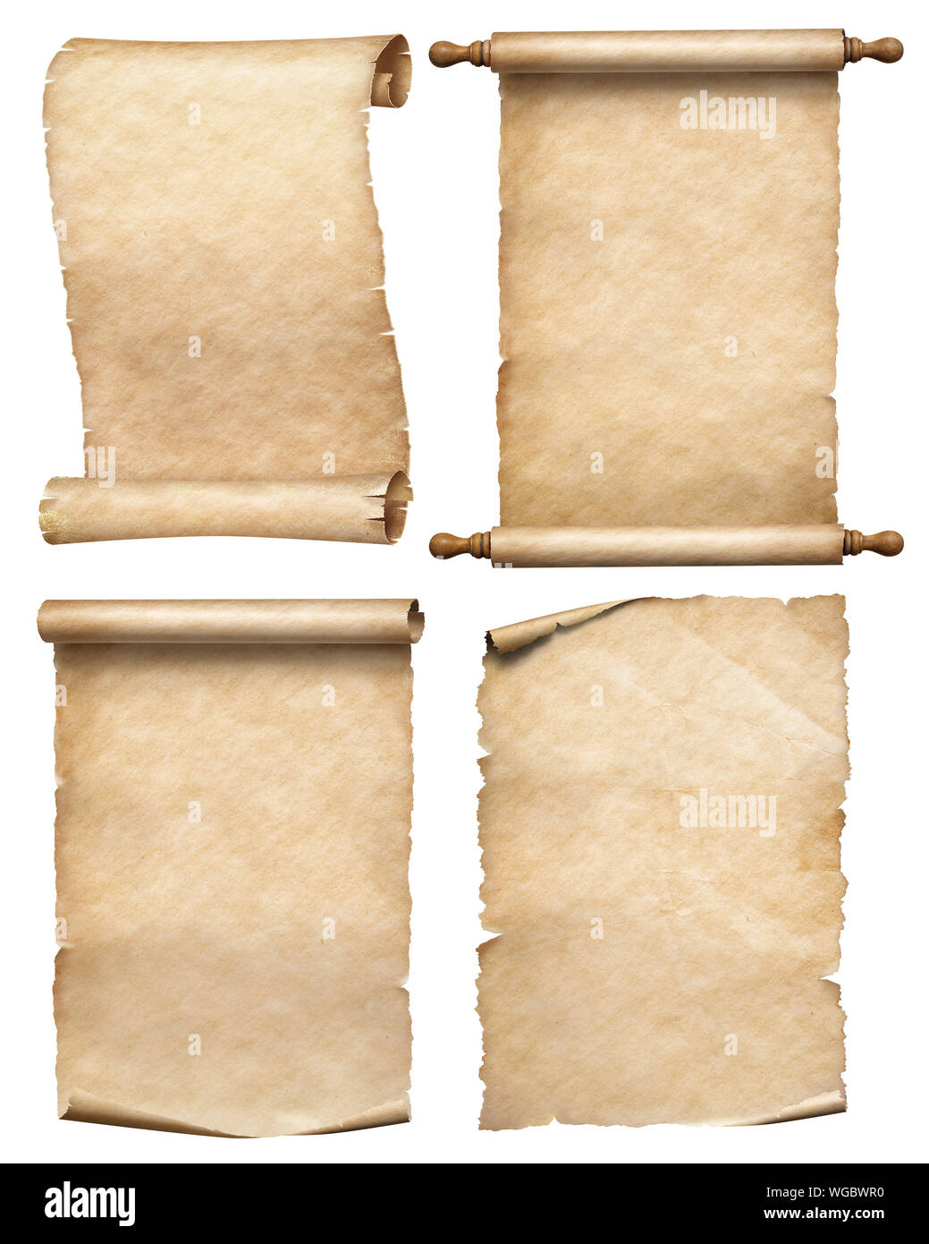 Real Paper Scroll