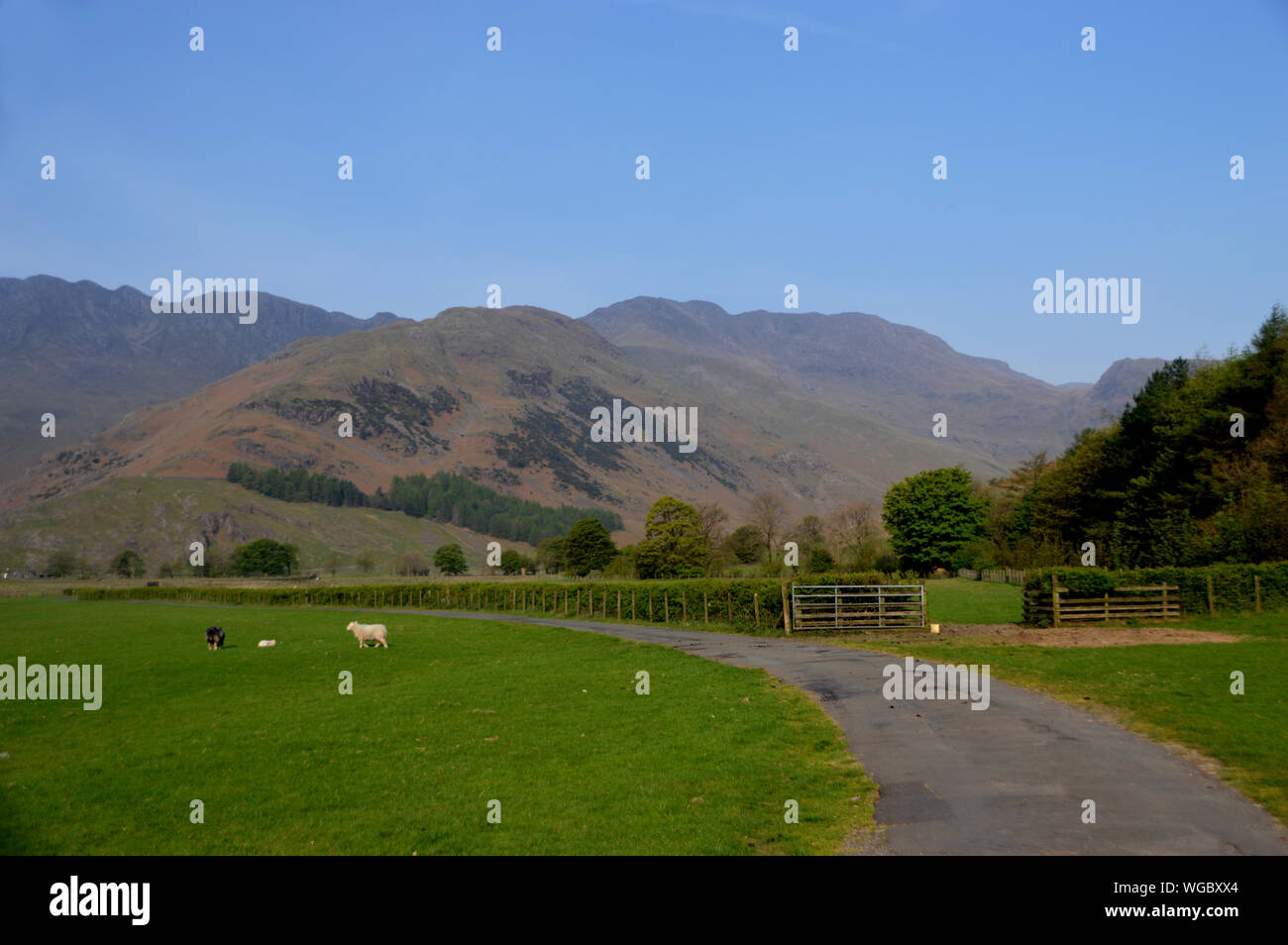 The Band and the Wainwrights Crinkle Crags & Bowfell from the Track to ...
