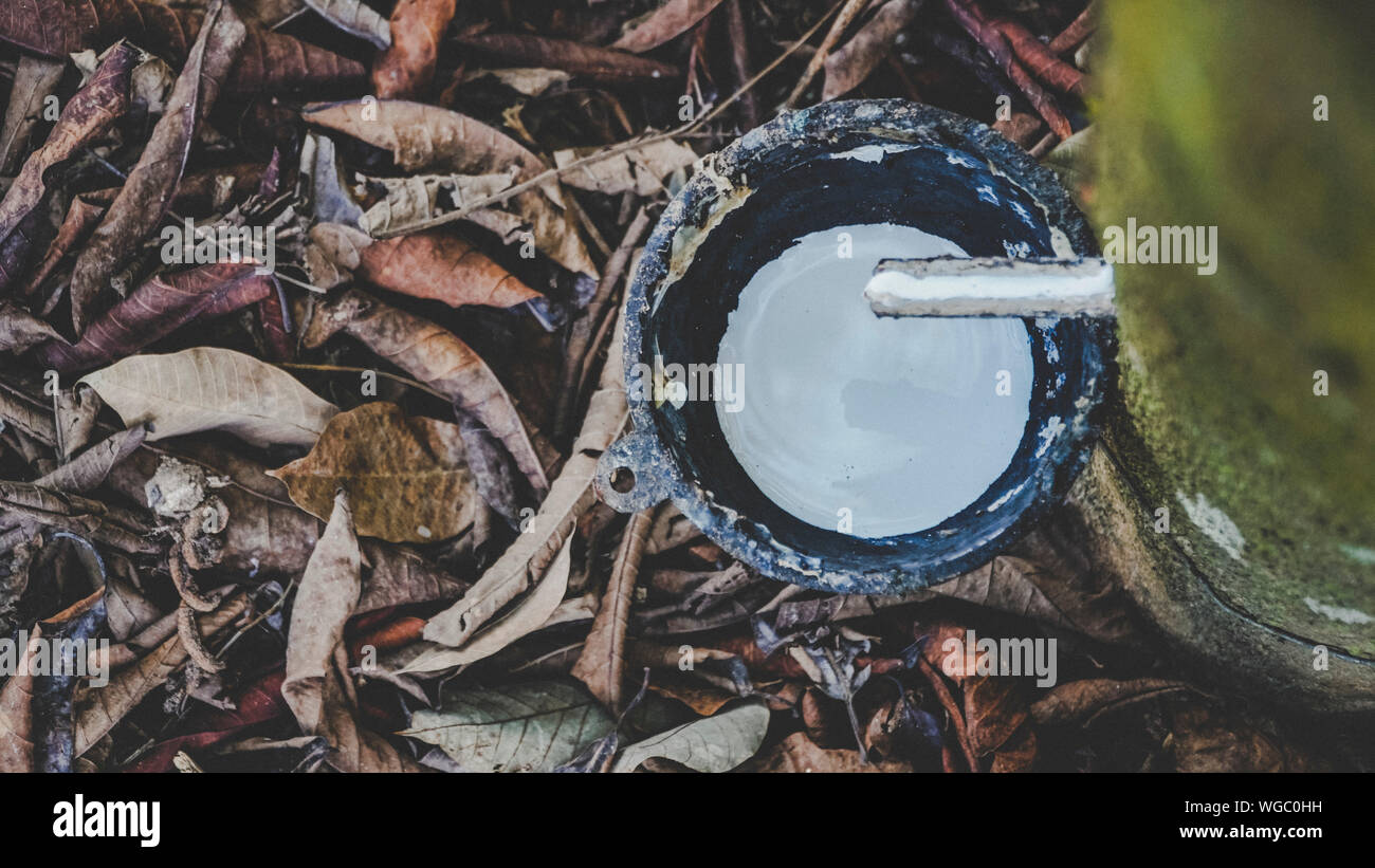 Tapping hi-res stock photography and images - Alamy