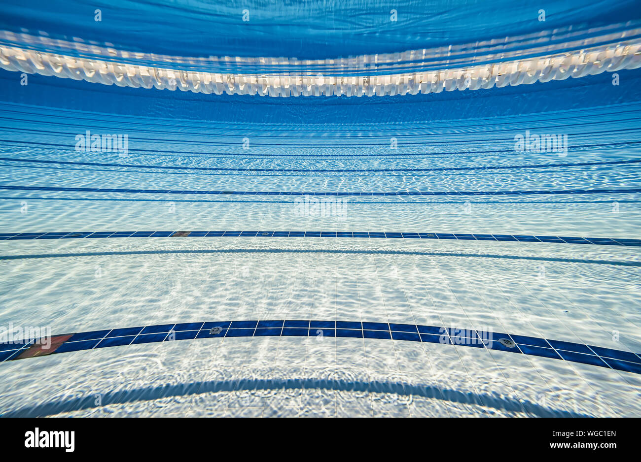 Olympic Swimming pool underwater background Stock Photo - Alamy