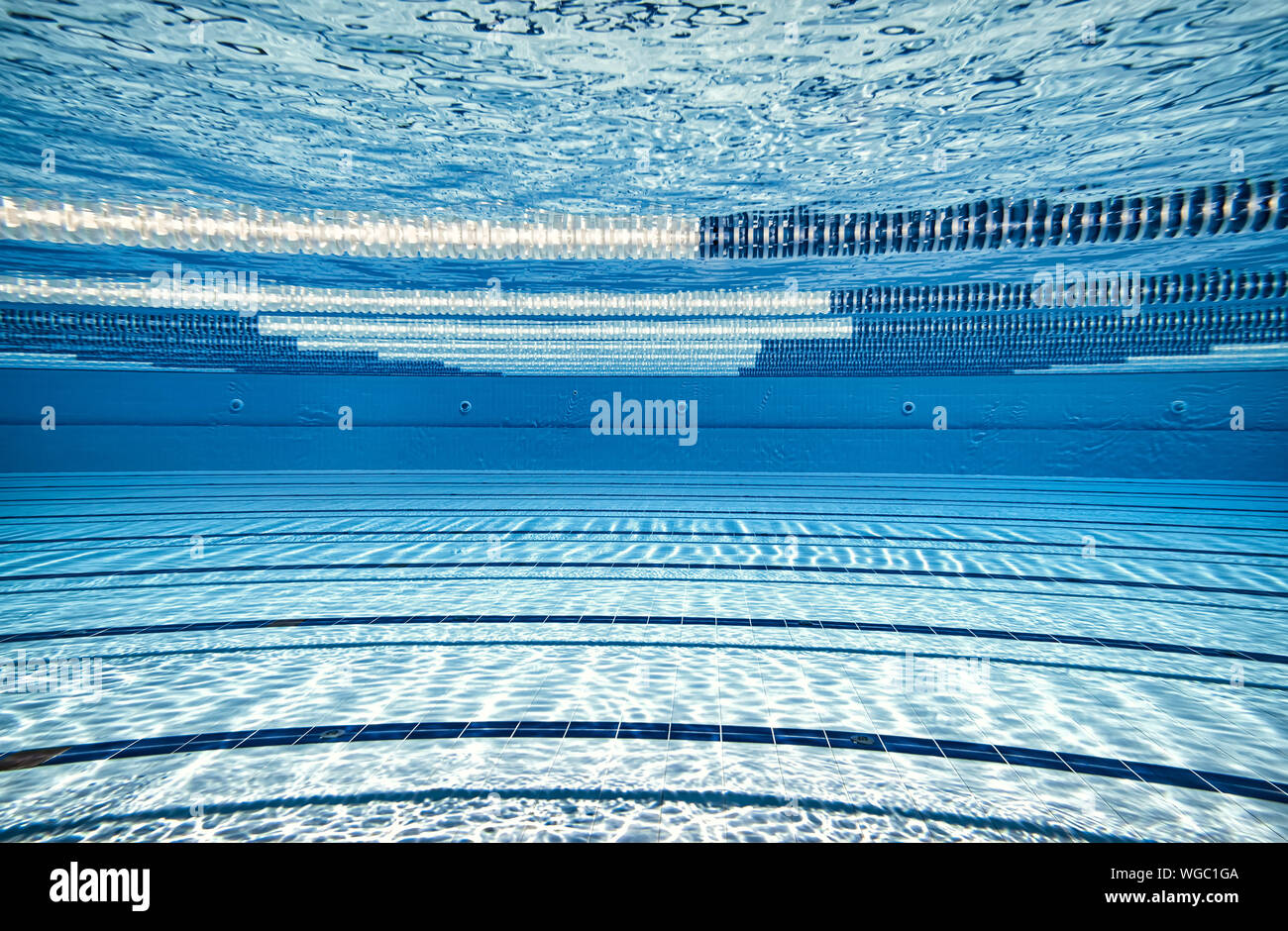 Olympic Swimming pool underwater background Stock Photo - Alamy