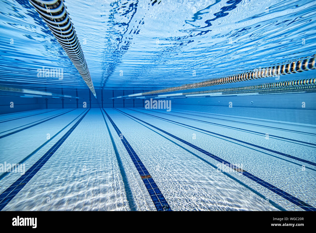 Olympic Swimming pool underwater background Stock Photo - Alamy