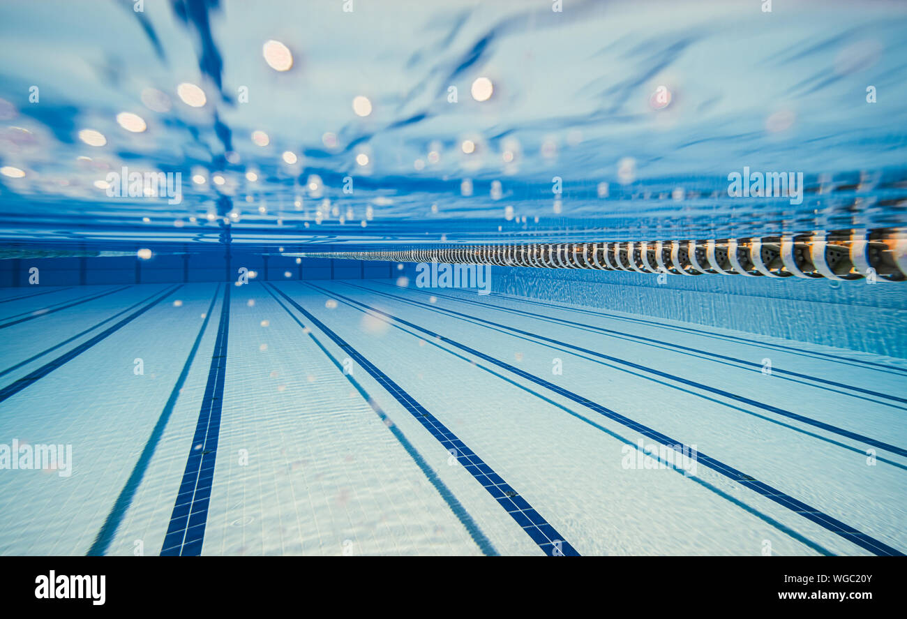 Olympic Swimming Pool Background