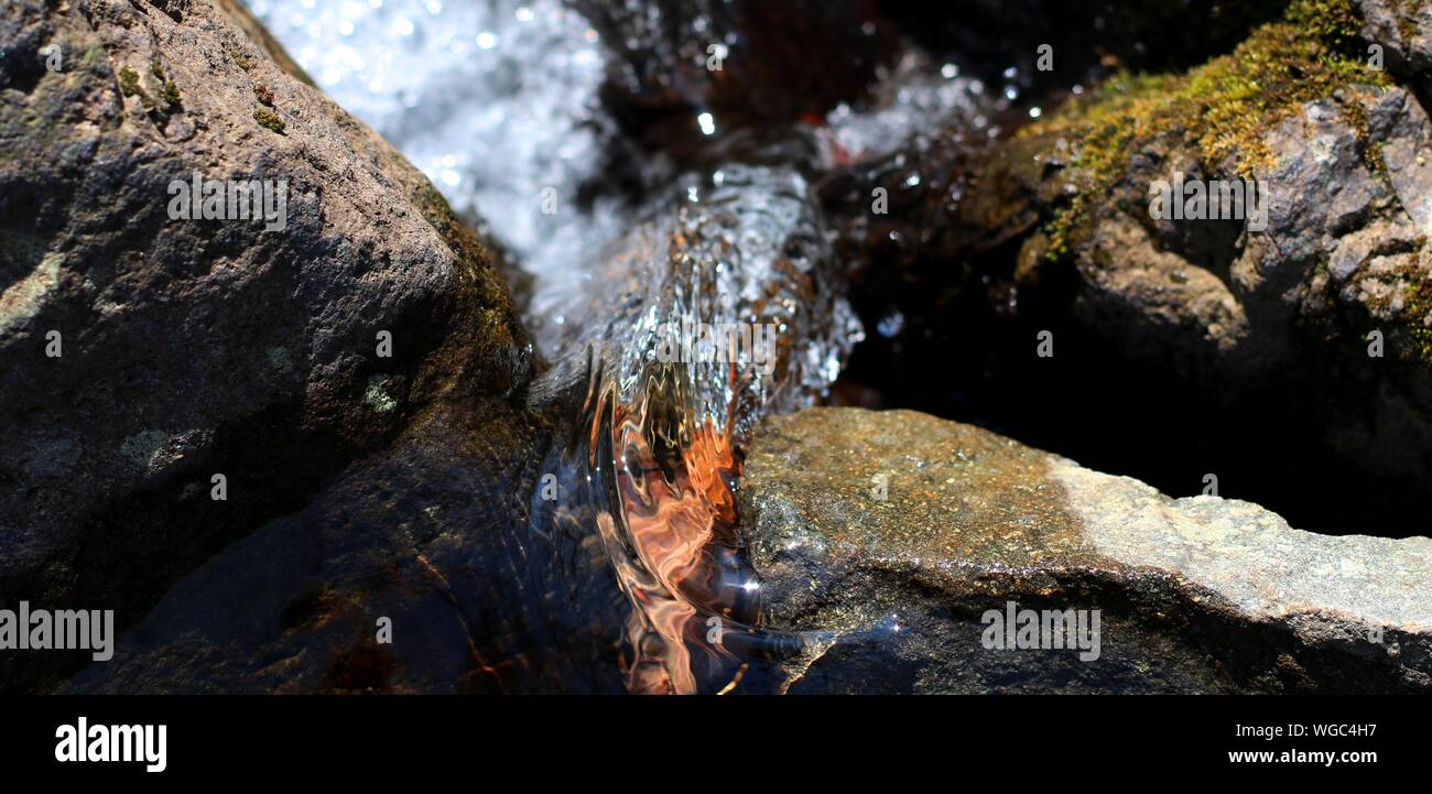 Living japan hi-res stock photography and images - Alamy