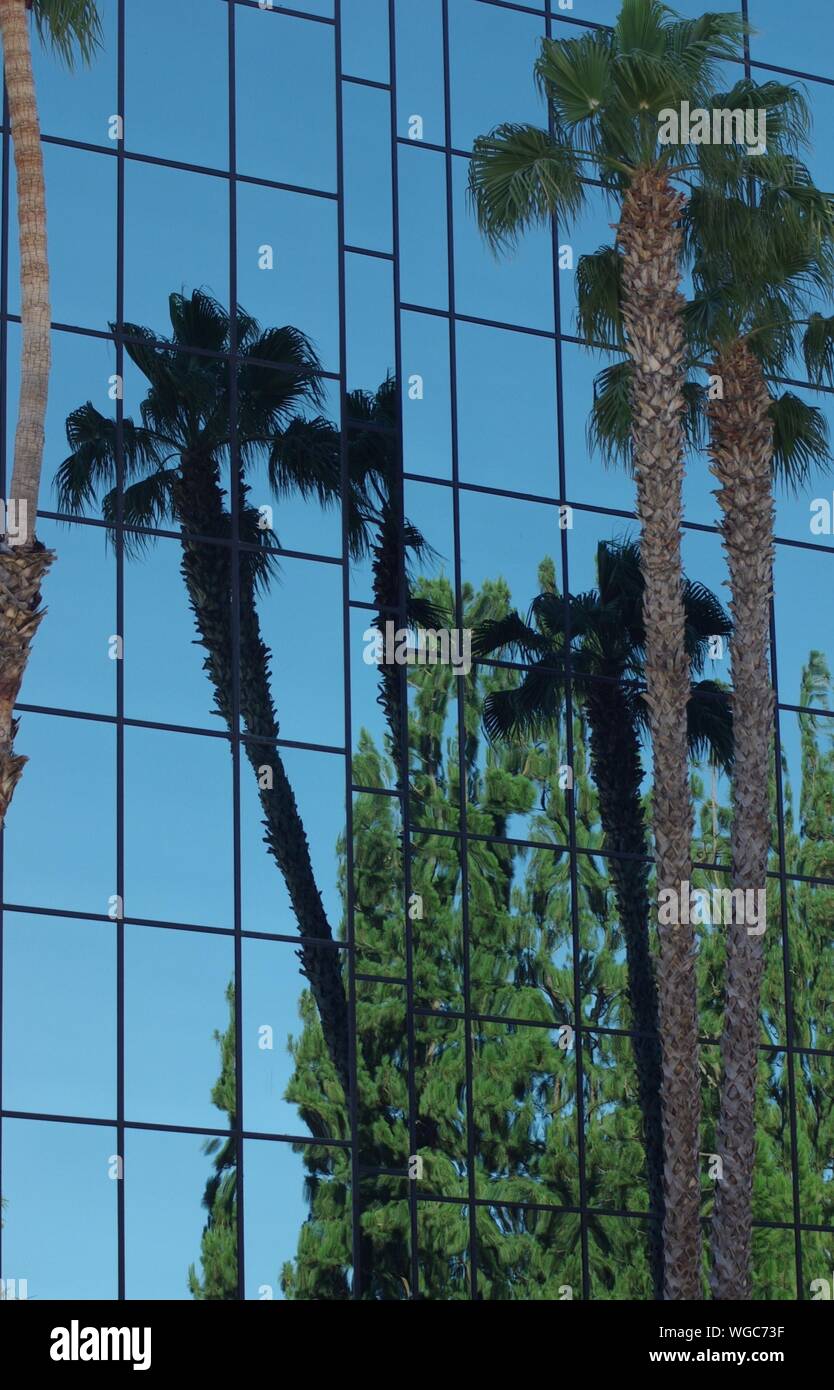 Trees with modern building hi-res stock photography and images - Alamy