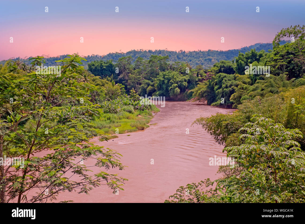 Progo hi-res stock photography and images - Alamy