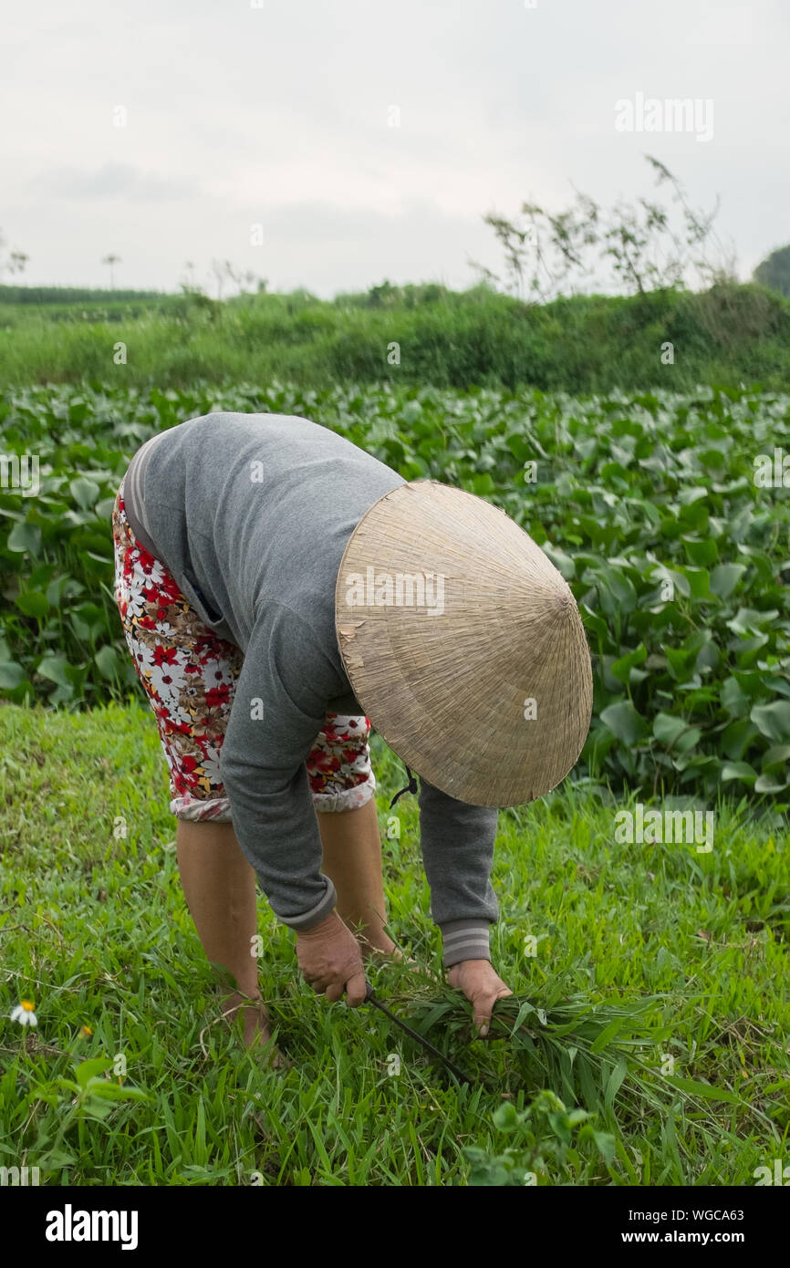 Against cutting hi-res stock photography and images - Alamy