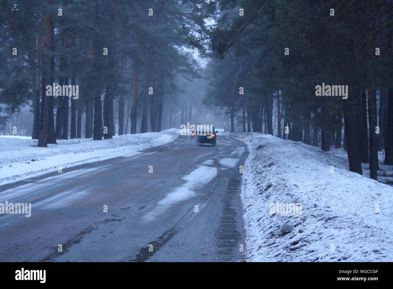 Transportation on the move landscape car tree hi-res stock photography ...