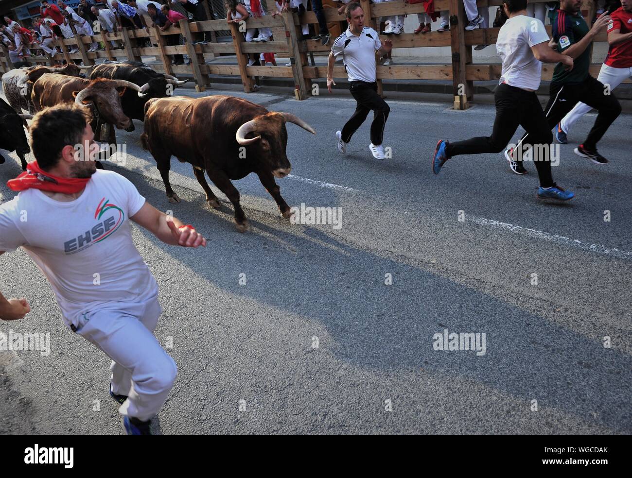 Running of the bulls 2019 hi-res stock photography and images - Alamy