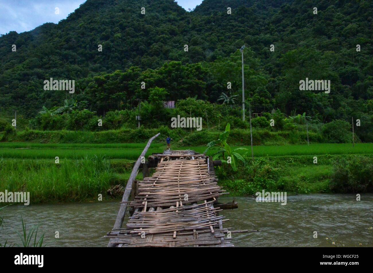 bridge in a small village in Vietnam Stock Photo - Alamy