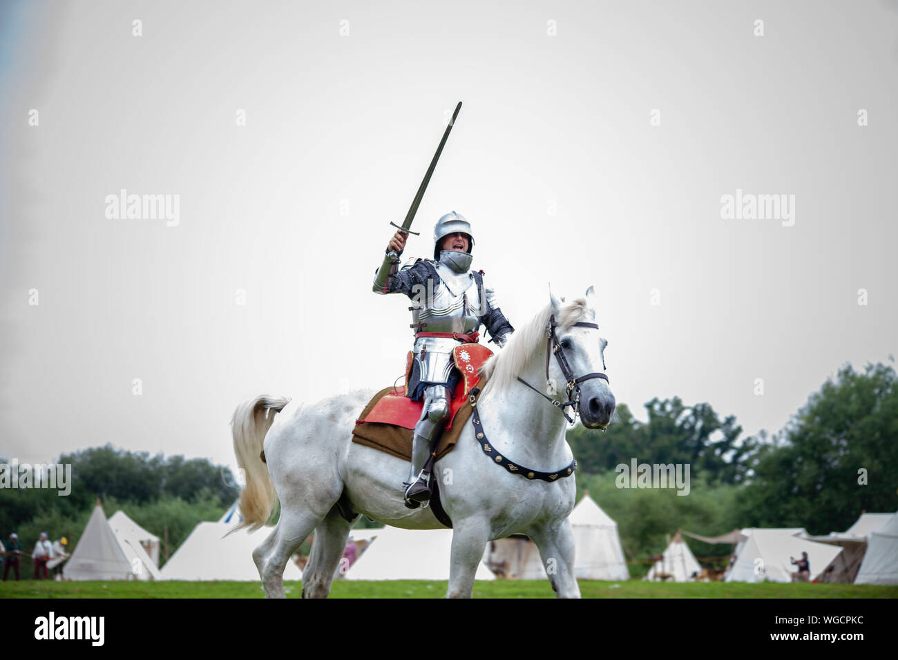 Armored Destrier Horse