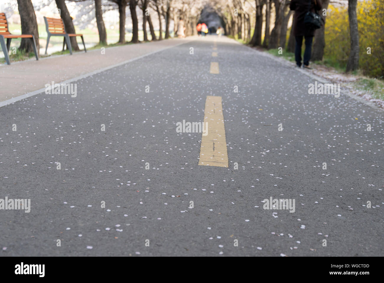 Park lines hi-res stock photography and images - Alamy